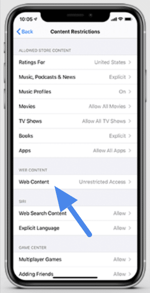 Block websites in Safari on iPhone- Block websites on iPad